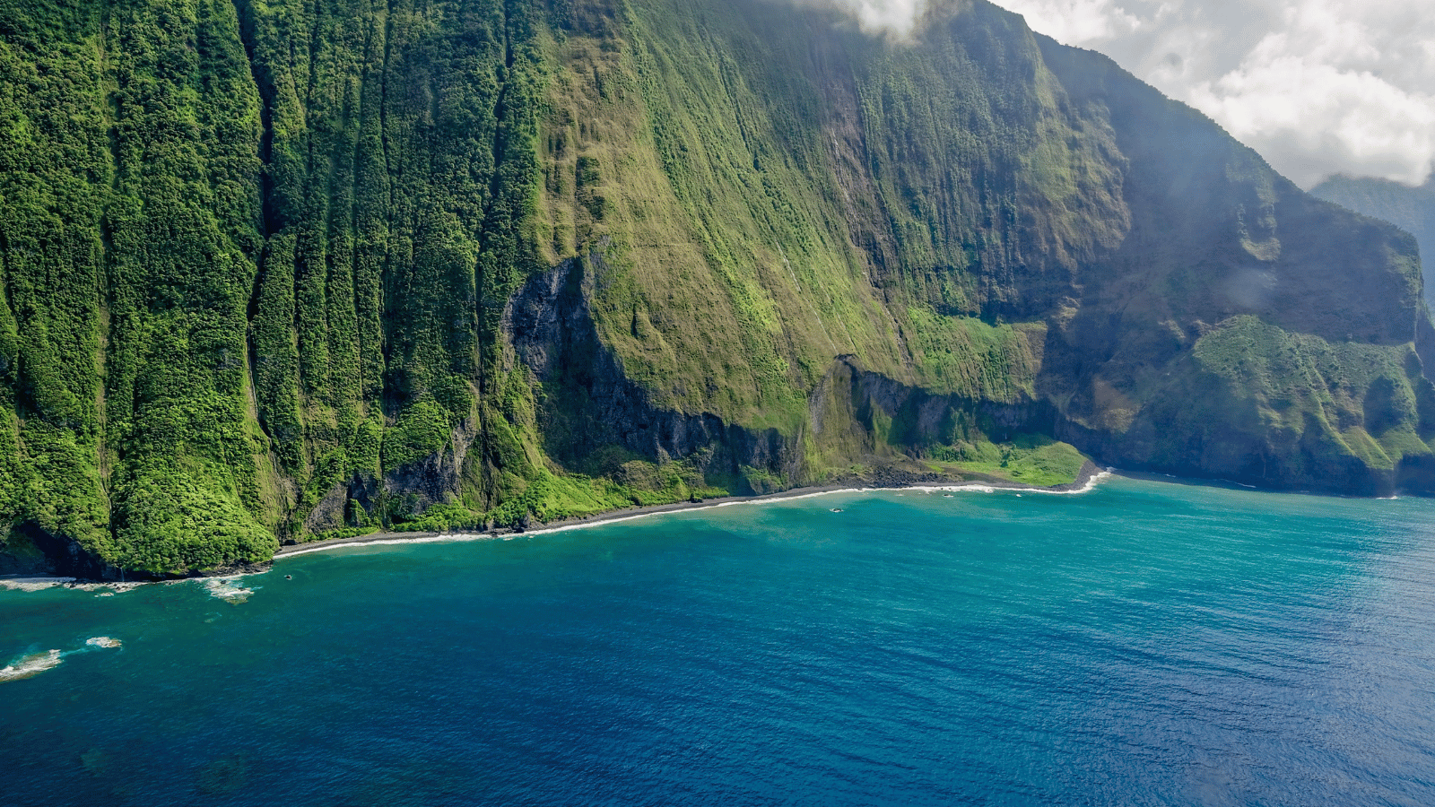 What Is the Water Temperature in Maui? | Ultimate Whalewatch & Snorkel